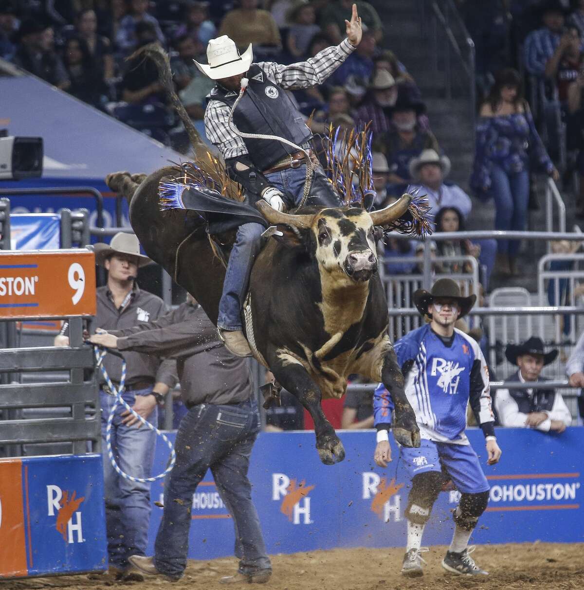 Activist's protest against Houston rodeo goes viral on Facebook