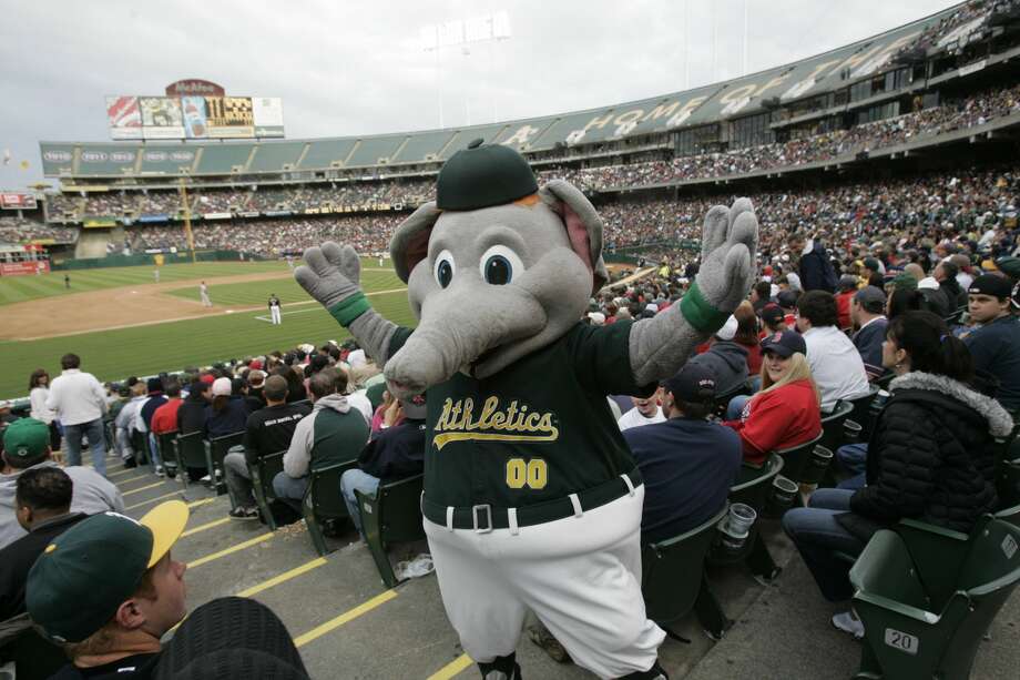 A definitive ranking of every MLB mascot - Houston Chronicle
