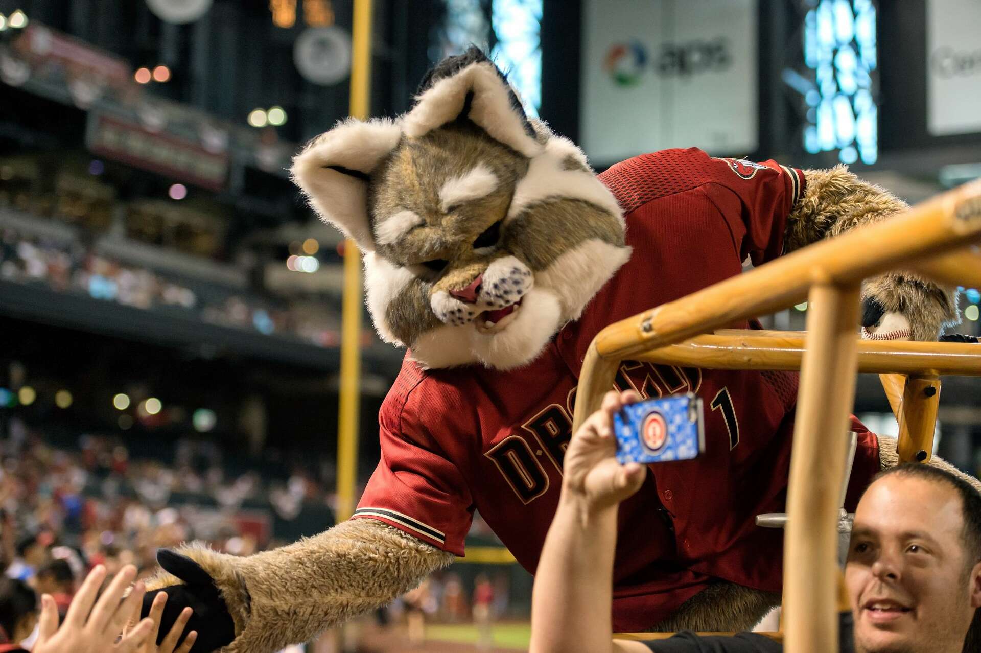 diamondbacks mascot name