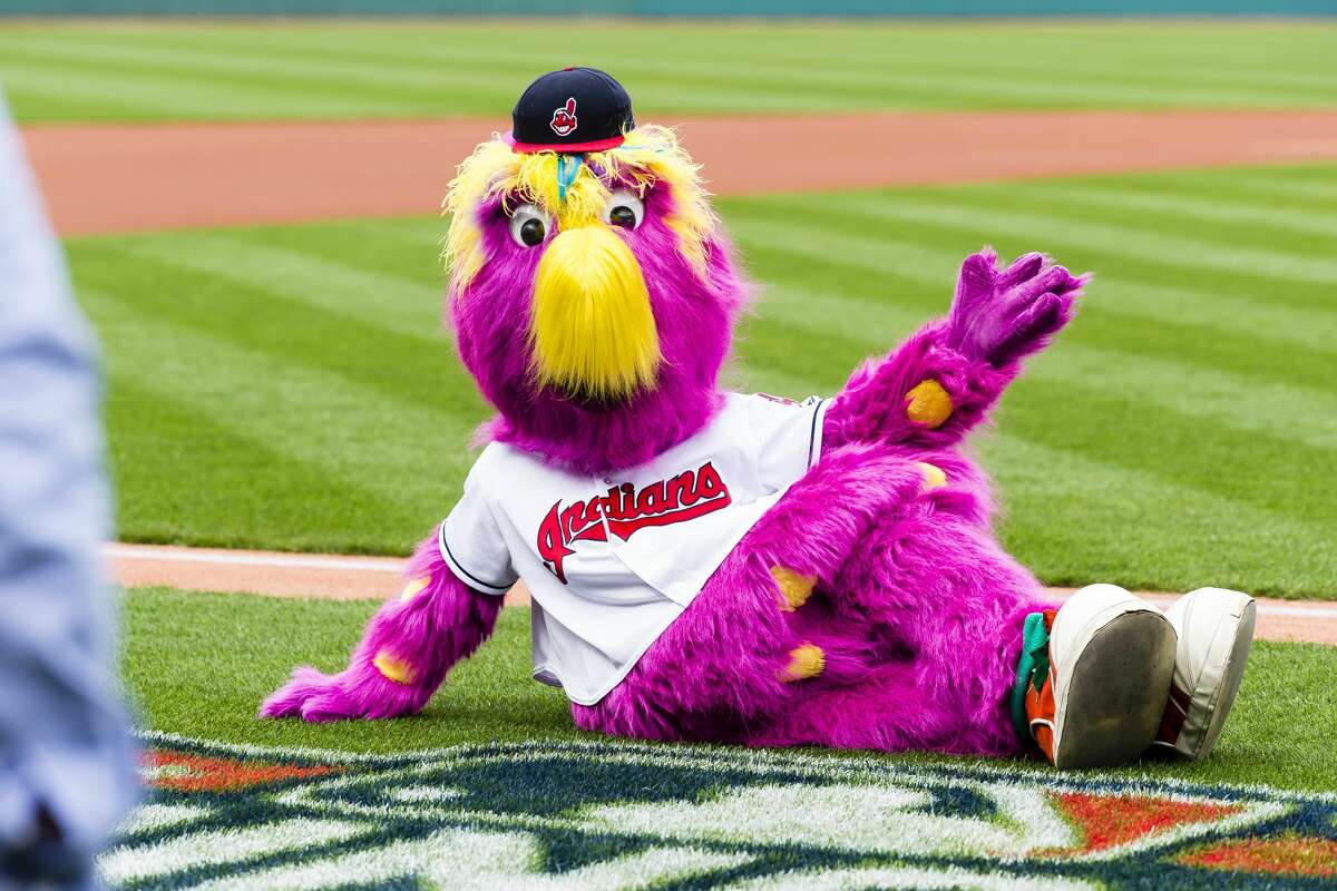 A definitive ranking of every MLB mascot