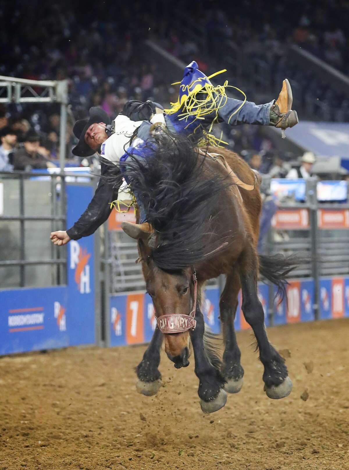 Bull rider Neil Holmes, hometown favorite, wins Super Series II in last ...