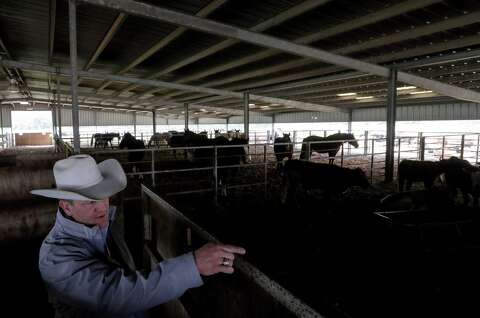 Where does the rodeo keep its livestock? Take a peek at the staging ...