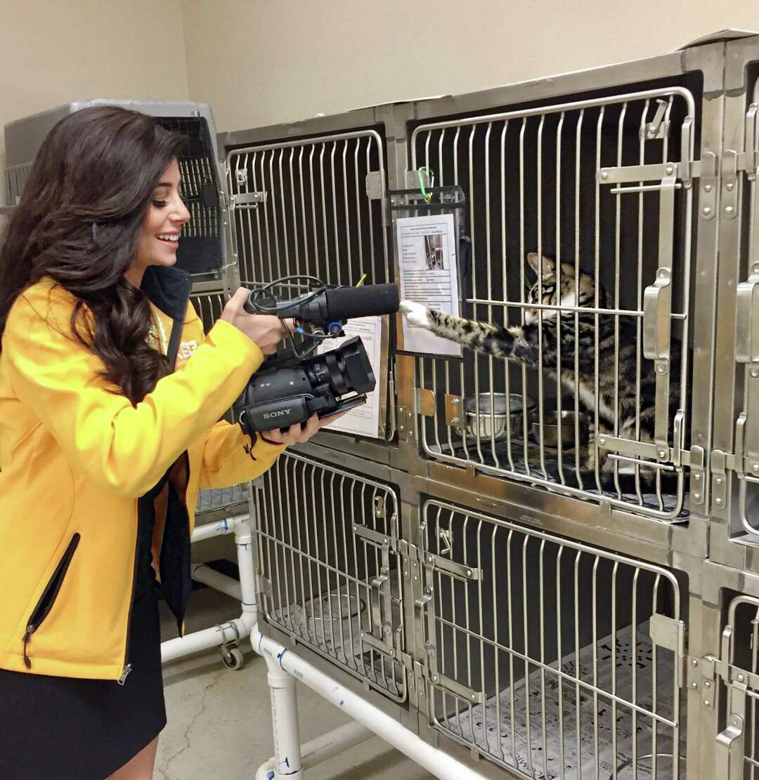 KENS-TV traffic anchor’s secret sides may startle you