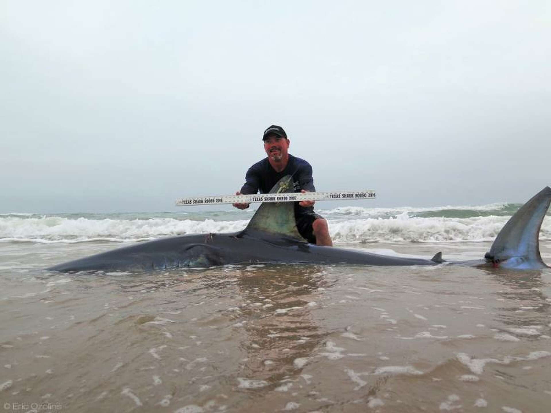 Texas woman catches, releases 9-foot tiger shark in Corpus Christi