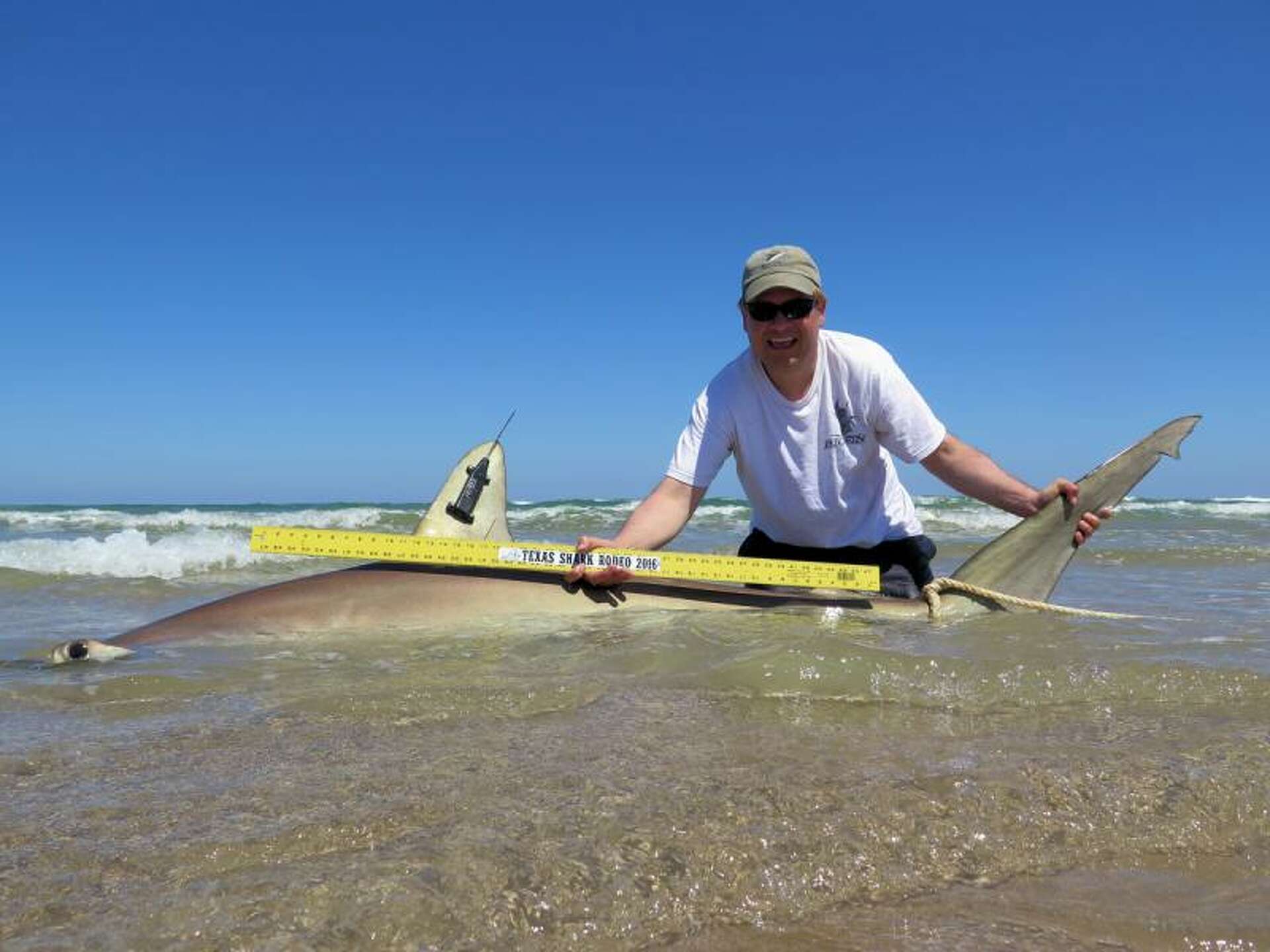 Texas woman catches, releases 9-foot tiger shark in Corpus Christi