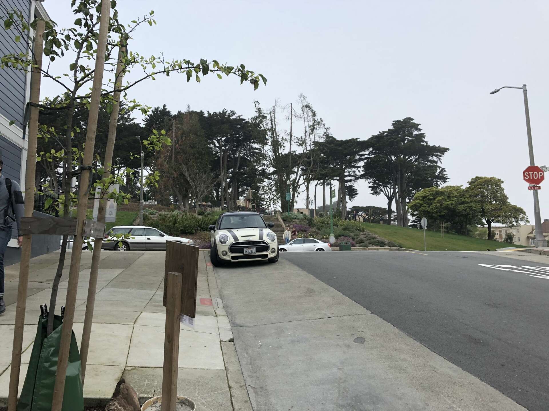 How to prevent car break-ins in SF? Signs suggest 'angry bees'
