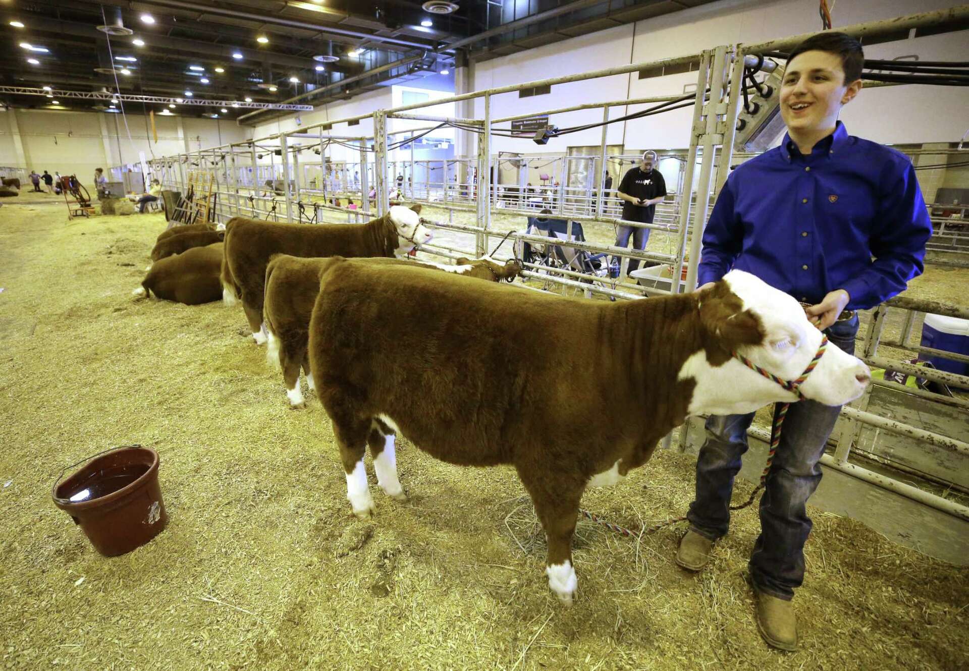 Teen goes from wheelchair to standing tall with a winning heifer at ...