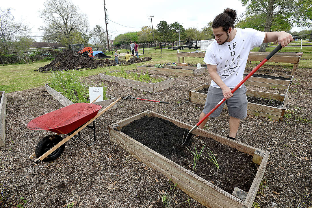 How soil health impacts your garden's success