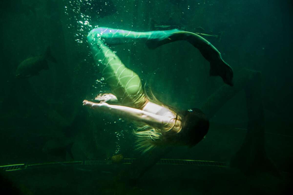 Professional mermaids say 'merverts' are making their lives a hassle