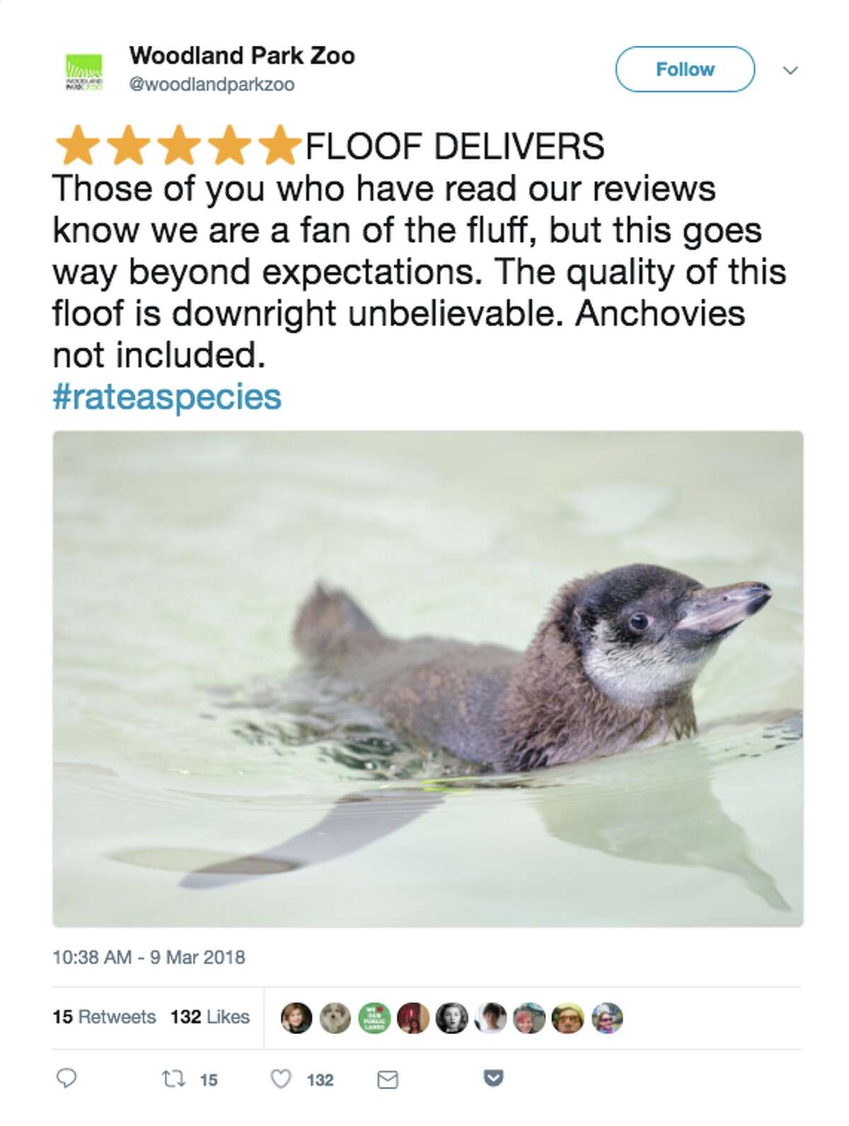 Zoos and aquariums give starred reviews of animals on Twitter and it's ...