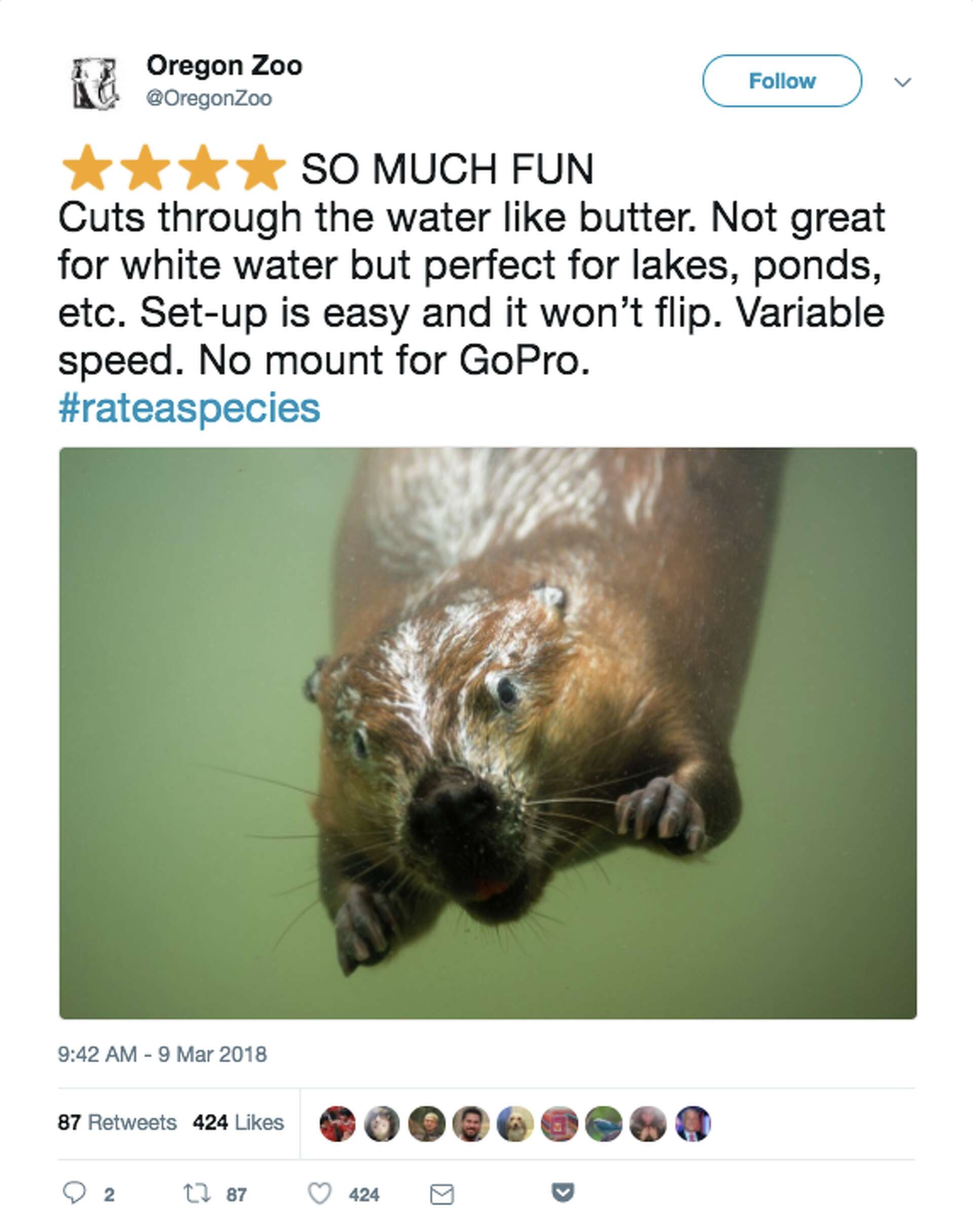 Zoos and aquariums give starred reviews of animals on Twitter and it's ...