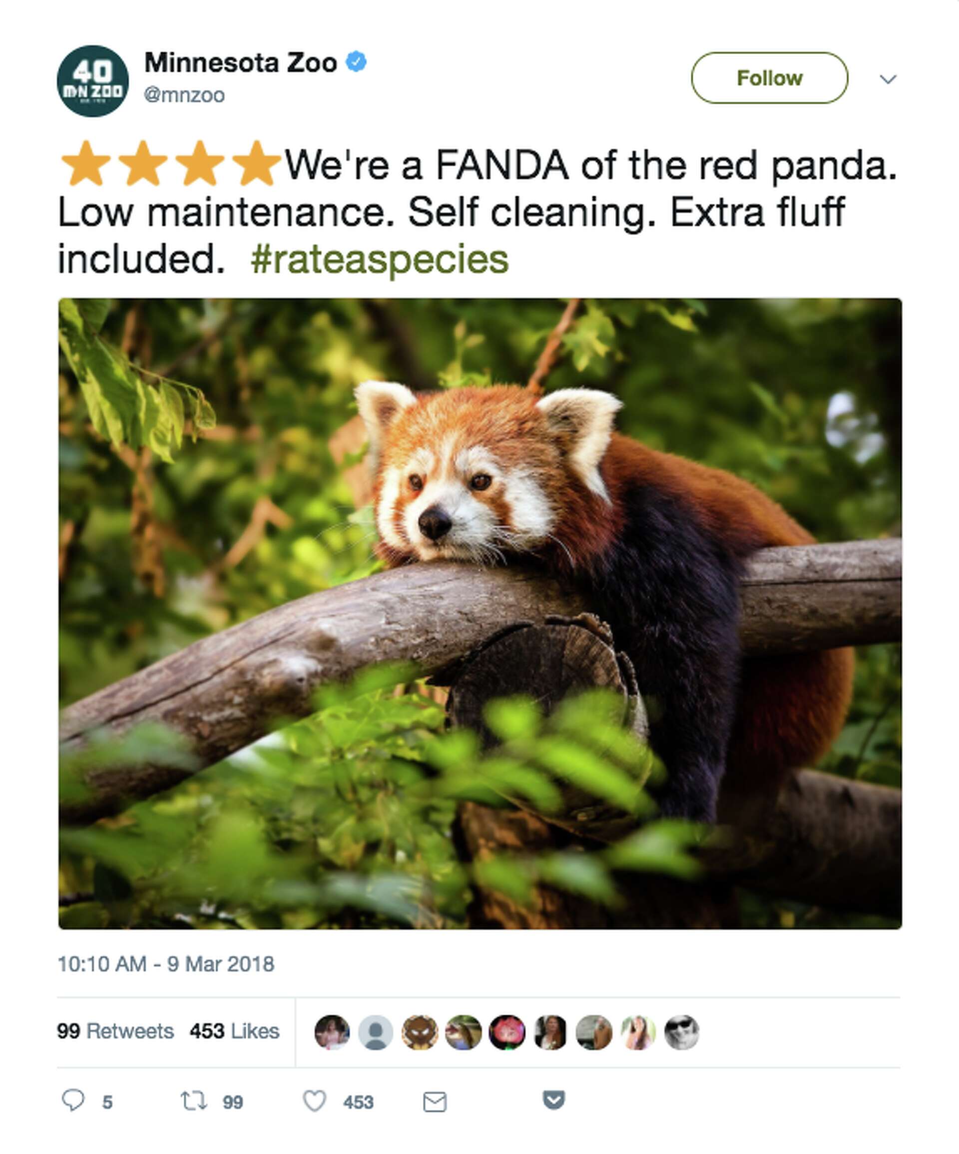 Zoos and aquariums give starred reviews of animals on Twitter and it's ...