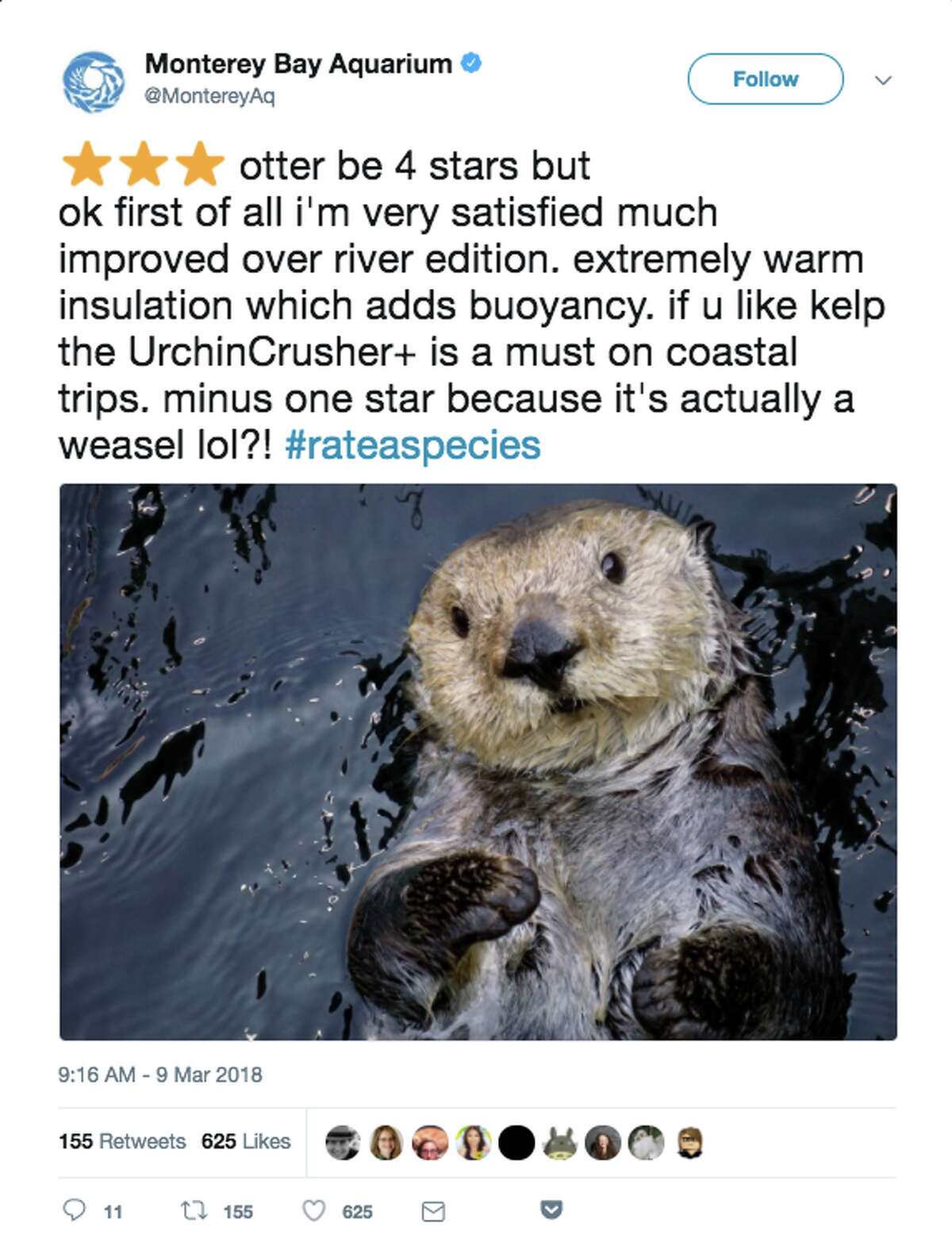 Zoos and aquariums give starred reviews of animals on Twitter and it's ...