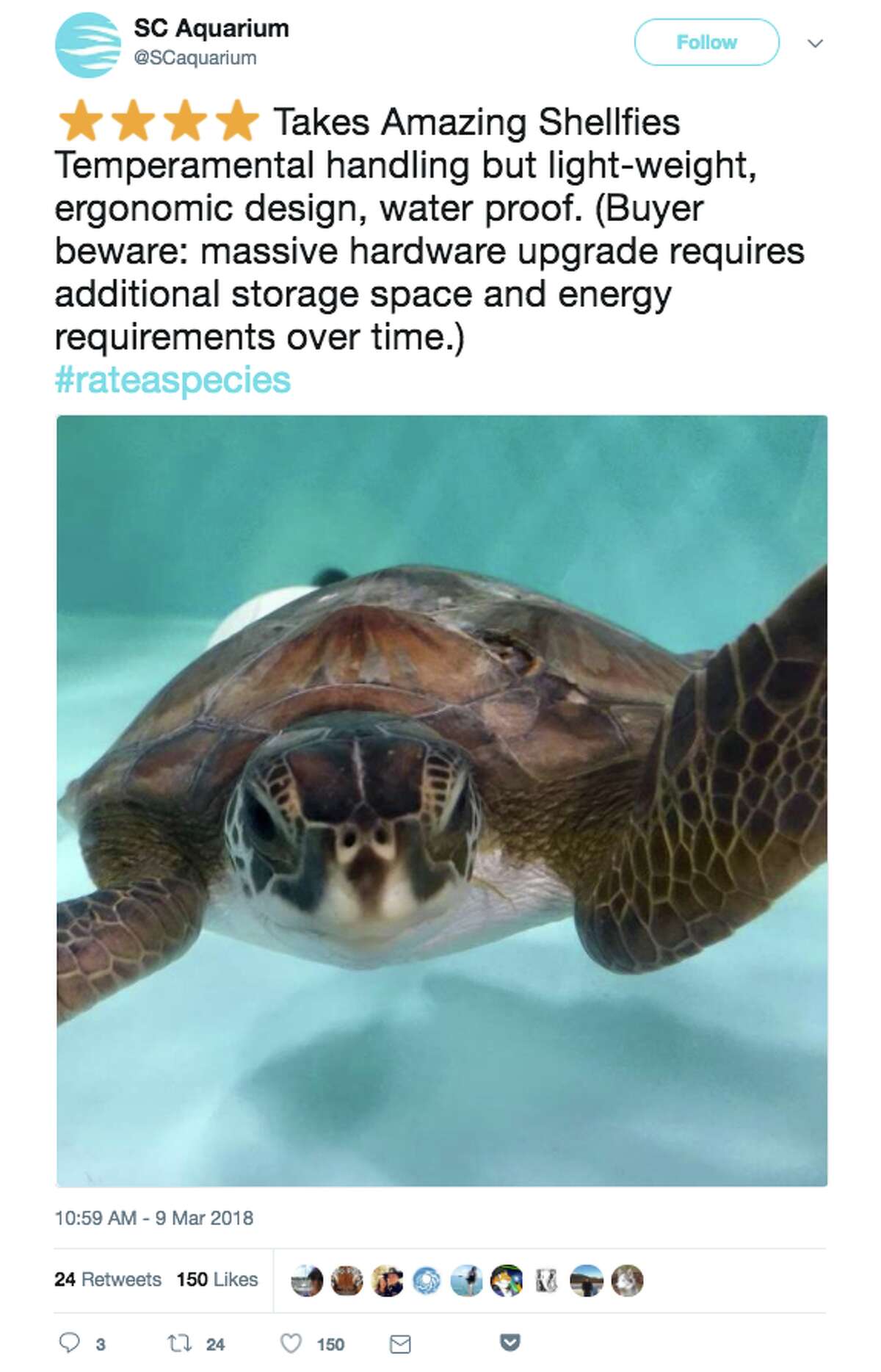 Zoos and aquariums give starred reviews of animals on Twitter and it's ...