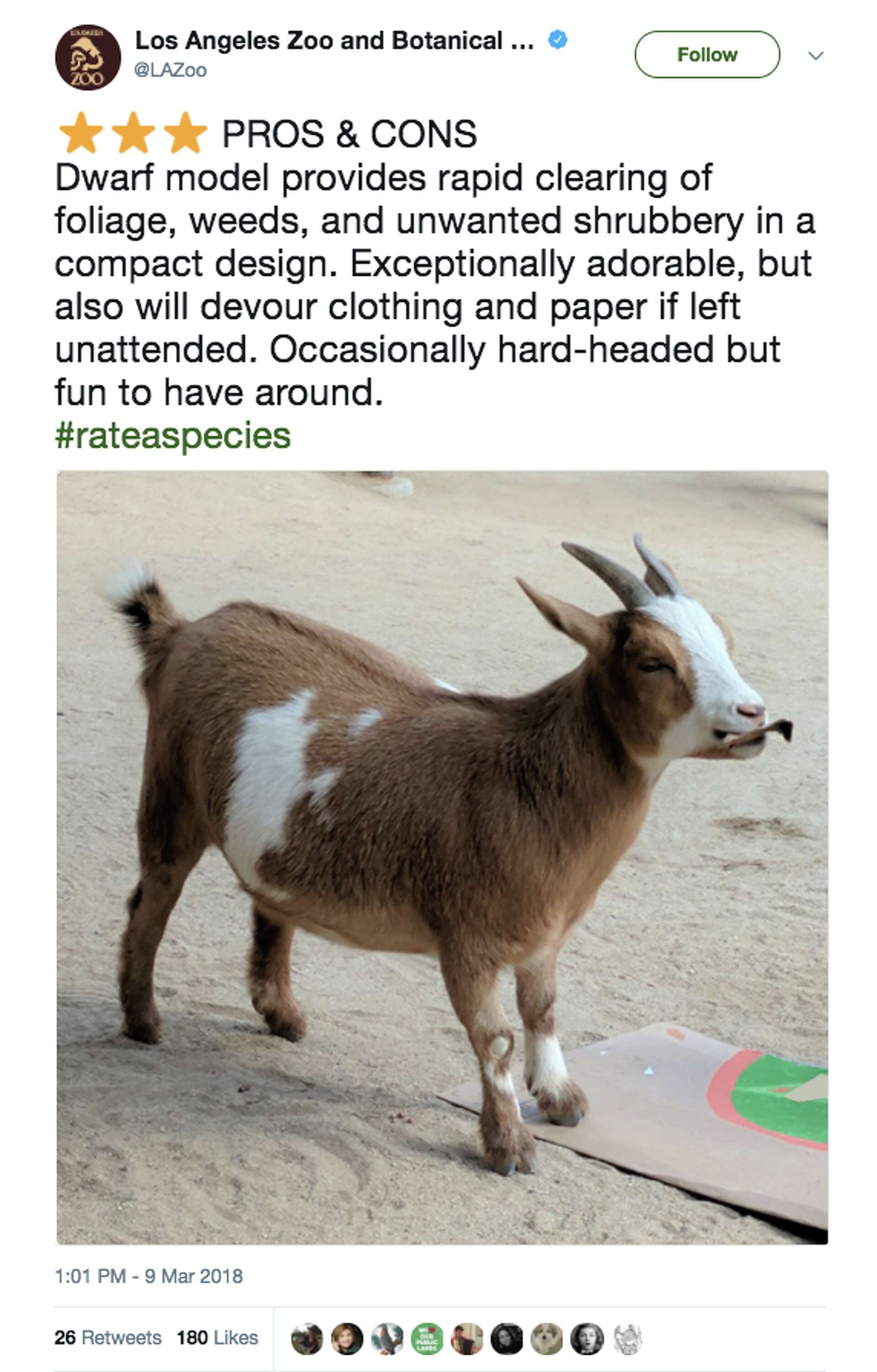 Zoos and aquariums give starred reviews of animals on Twitter and it's ...