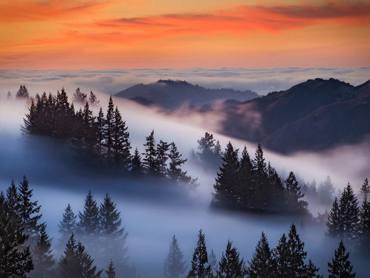 The 6 pics that put Bay Area duo on Nikon's top-100 photographers list