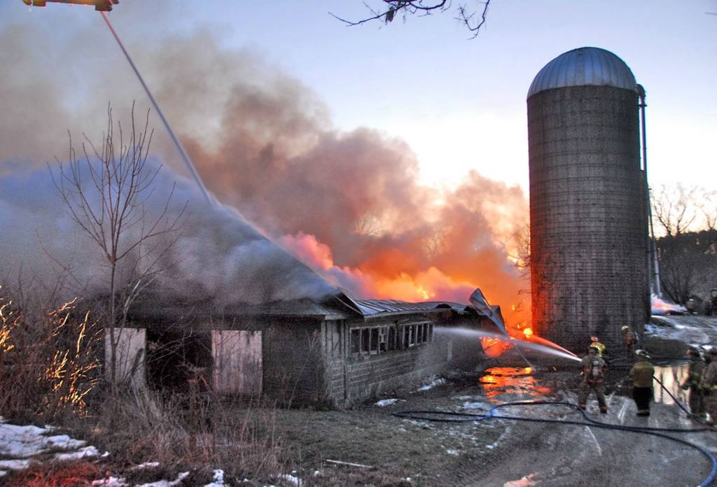 Dozens of cows die in Copake barn fire