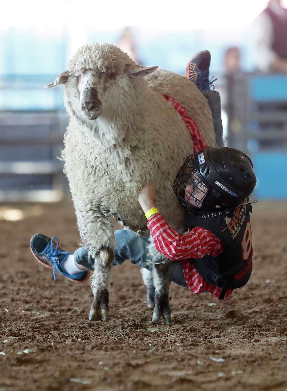 Mutton Bustin’ is baa-ck at the Houston Rodeo, registration now open