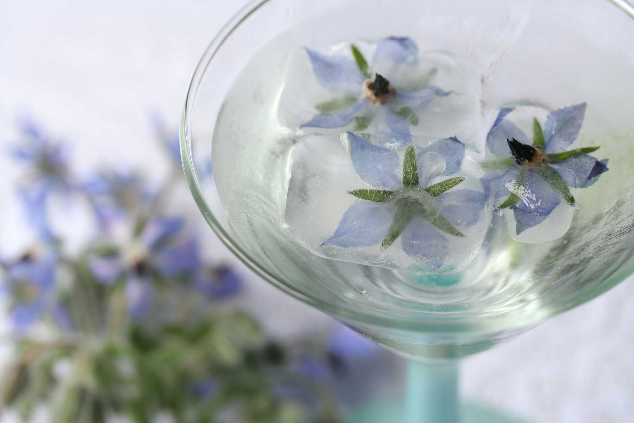 Recipe: Sparkling Borage Cocktail