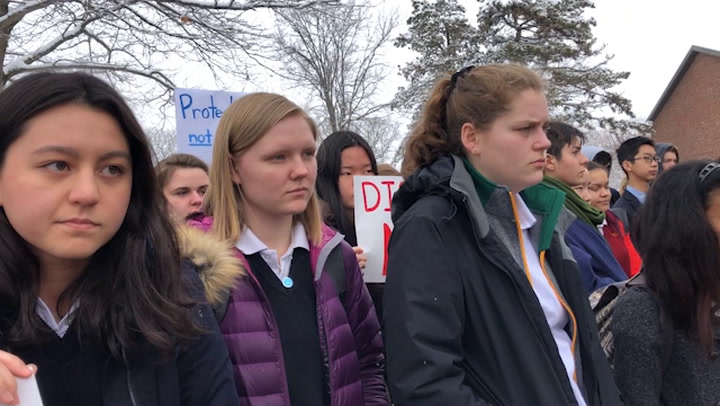 Capital Region students leave classes to protest mass shootings