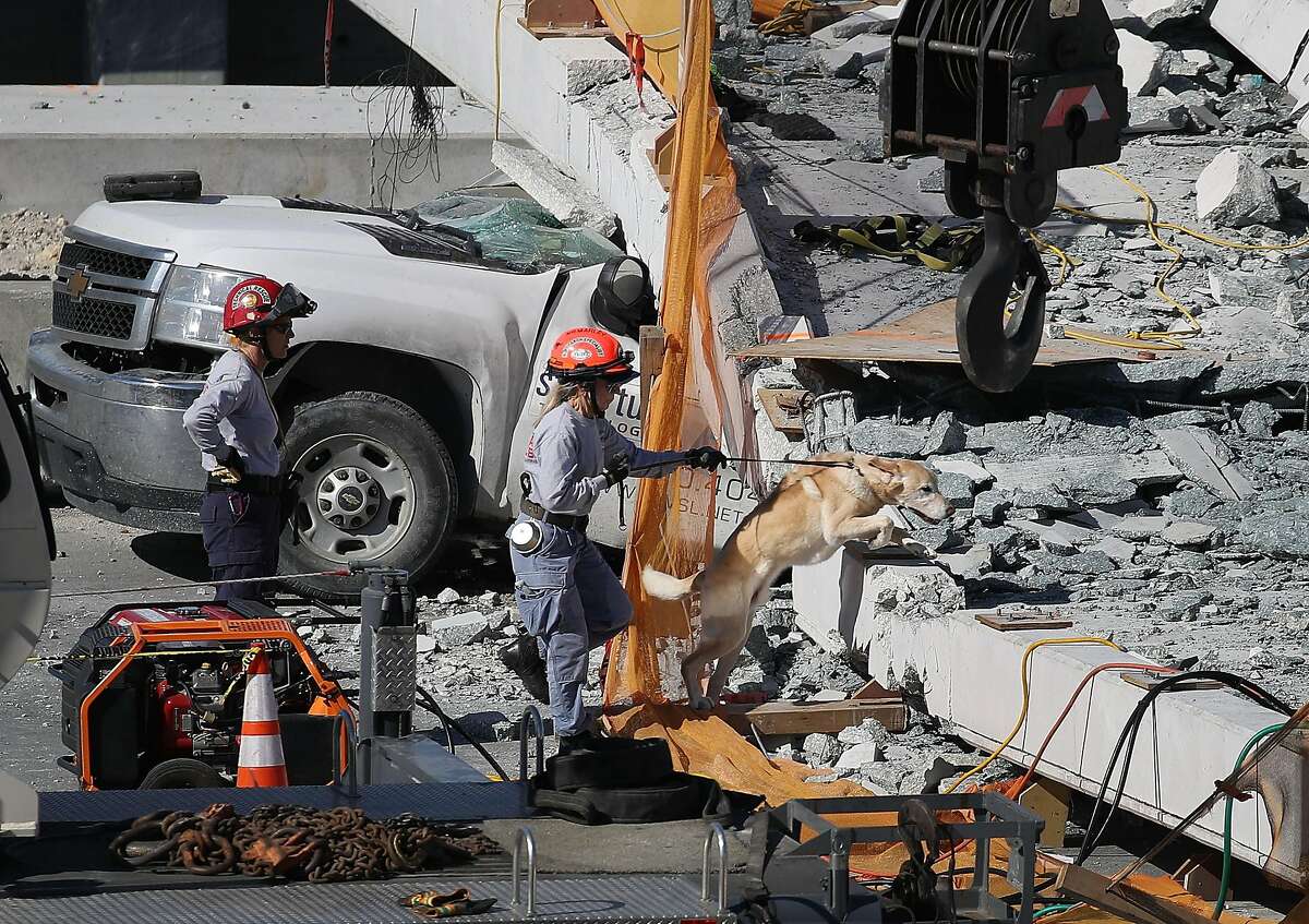 Pedestrian bridge collapse at Florida International University
