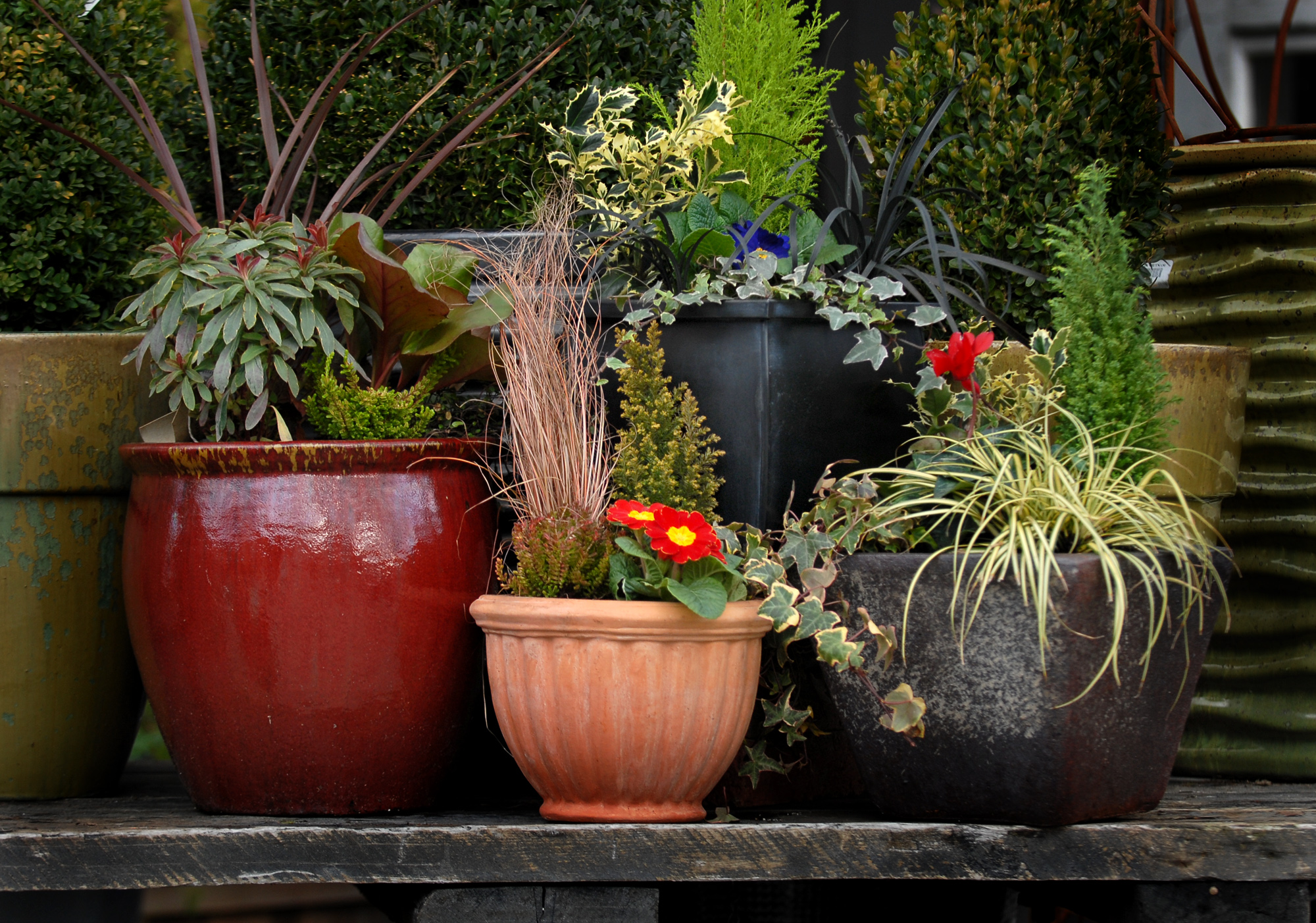 Get the professional look for your flower planters