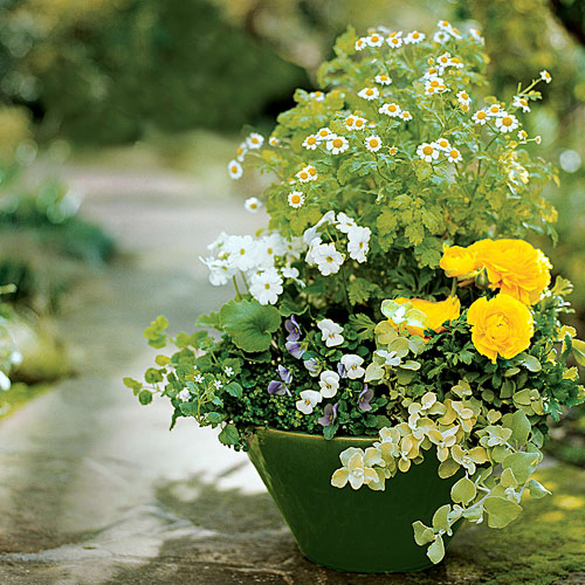 Get the professional look for your flower planters