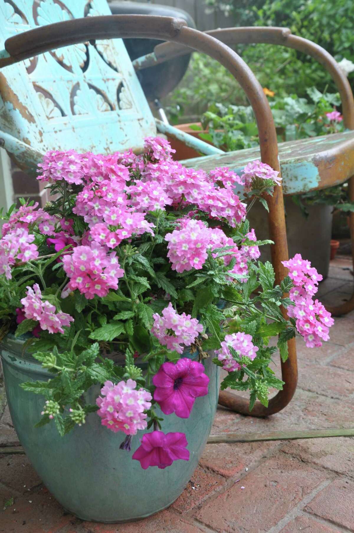 Get the professional look for your flower planters