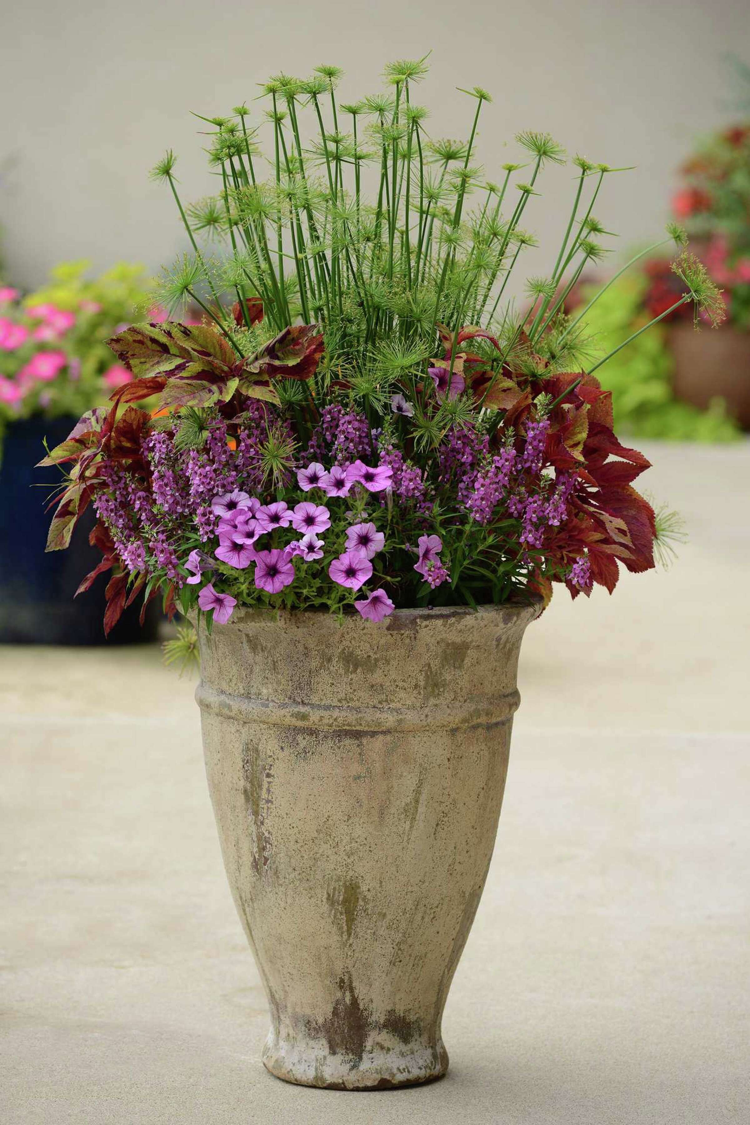 Get the professional look for your flower planters