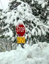 Here's how much snow fell in the Tahoe Basin in 'the season's fiercest ...