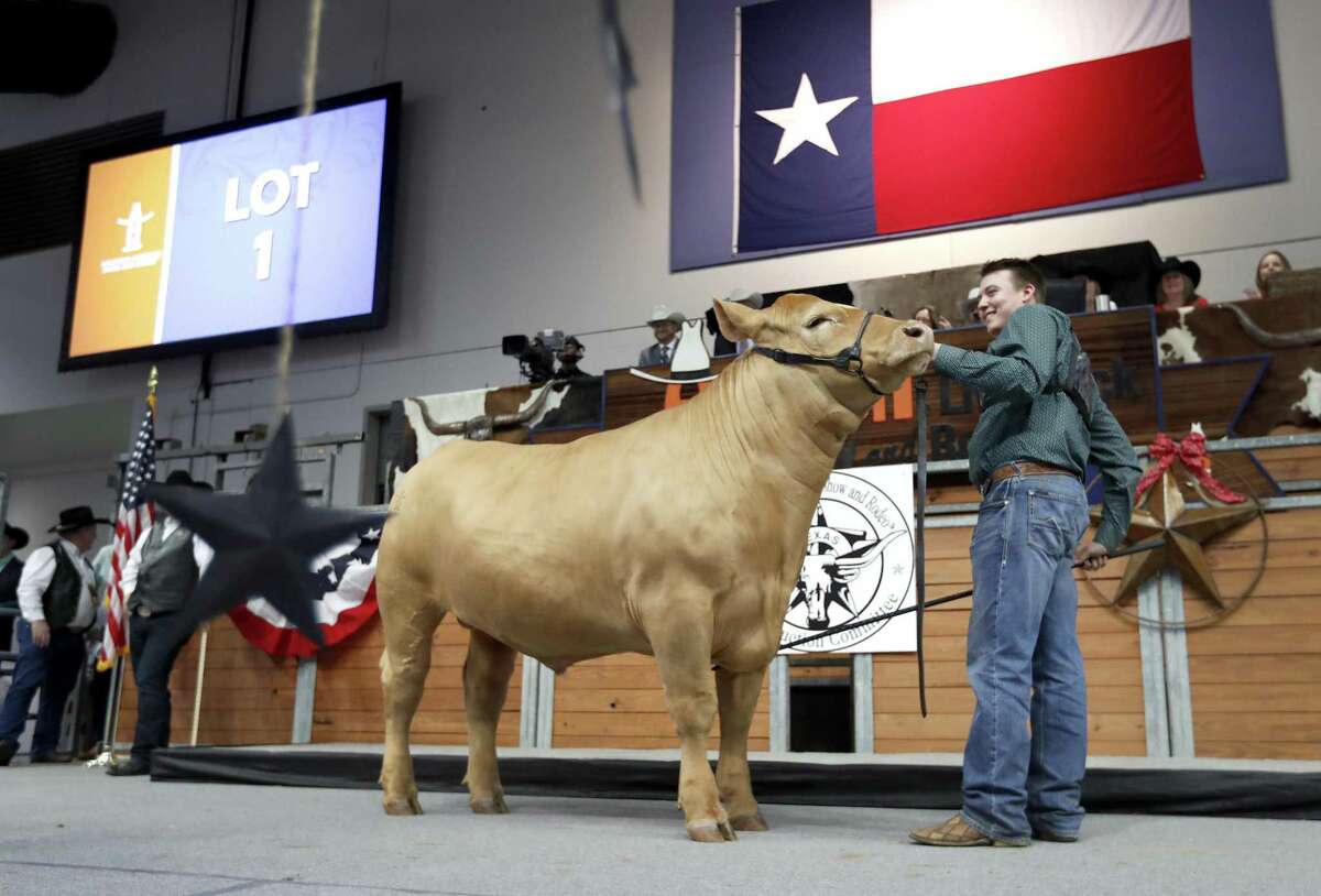 Champion steer sells for $410,000 at Rodeo auction