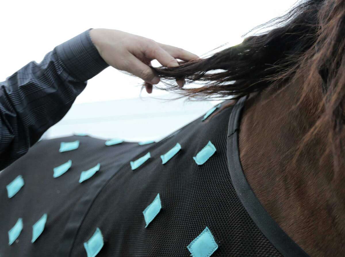 Rodeo photos: Rides, games, prizes and lights of the midway