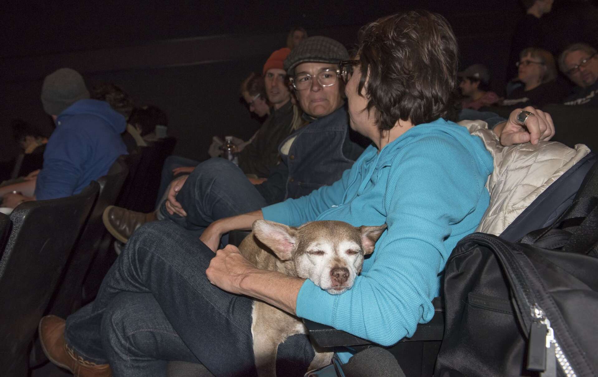 Roxie Theater becomes a movie house of dogs for 'Isle of Dogs' event