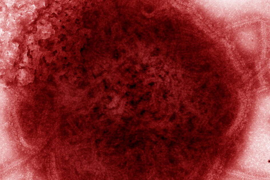 Selena’s killer Yolanda Saldivar really is mounting new legal effort ...