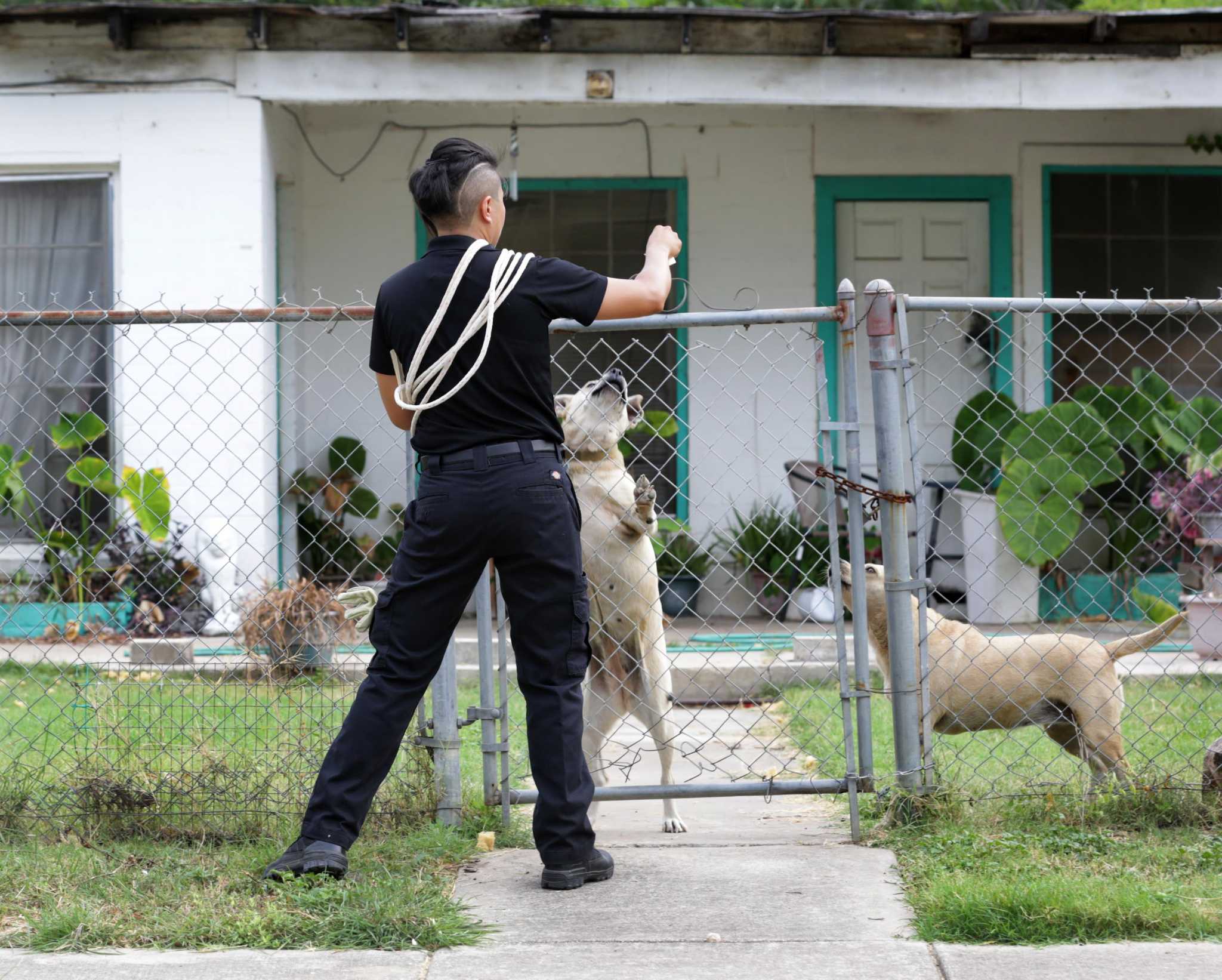 How to keep doggy diggers and jumpers inside the yard
