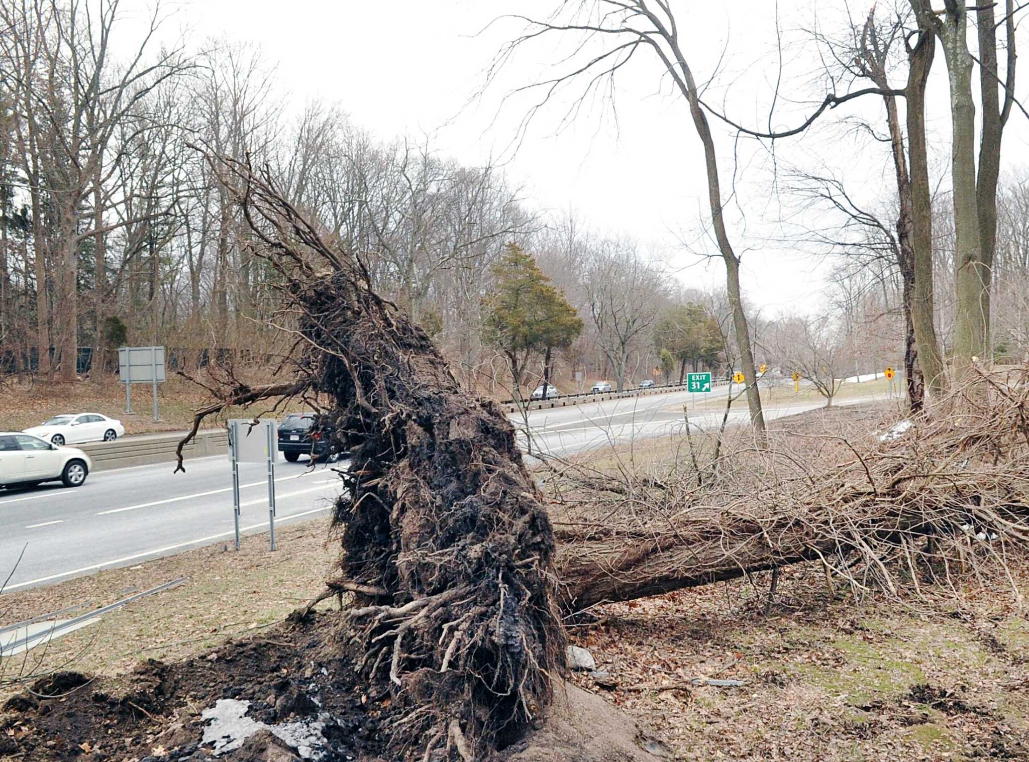 Neighbor's teetering tree may damage property if it falls