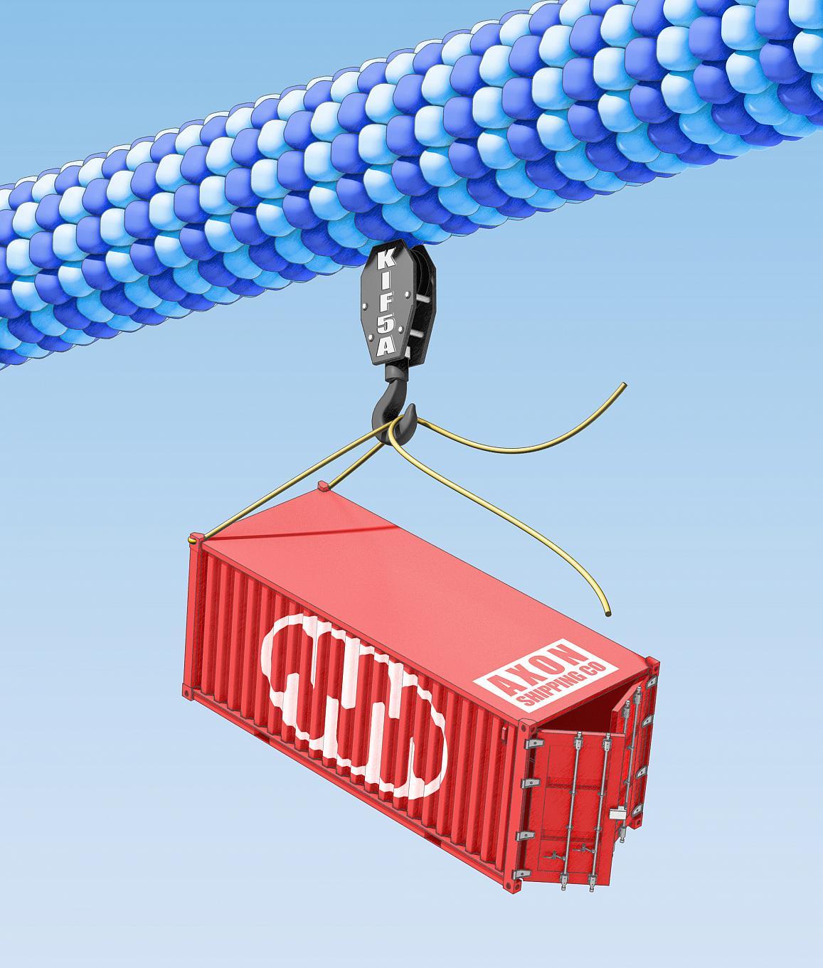 Scientists link gene to ALS