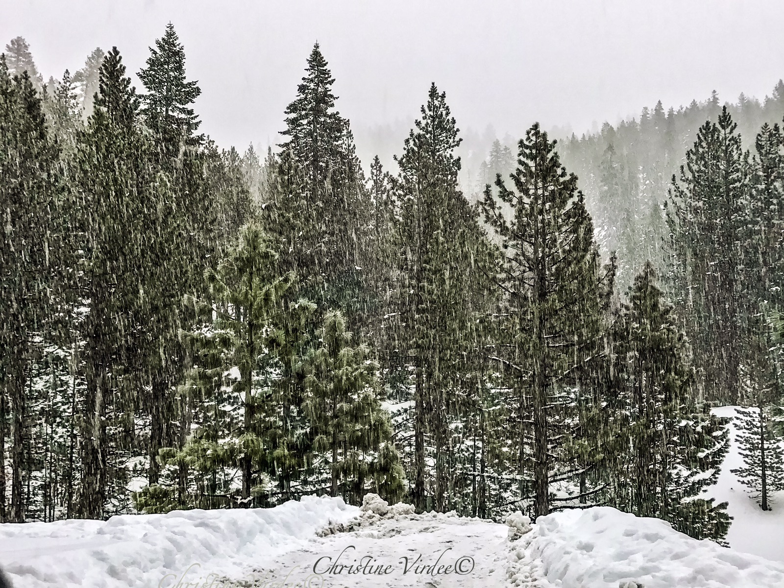 Warm, wet storm soaks Tahoe in rain with snow levels above 8,000 feet