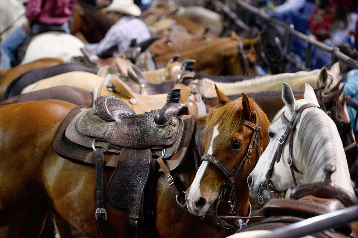 Photos: YMBL Rodeo sneak peek