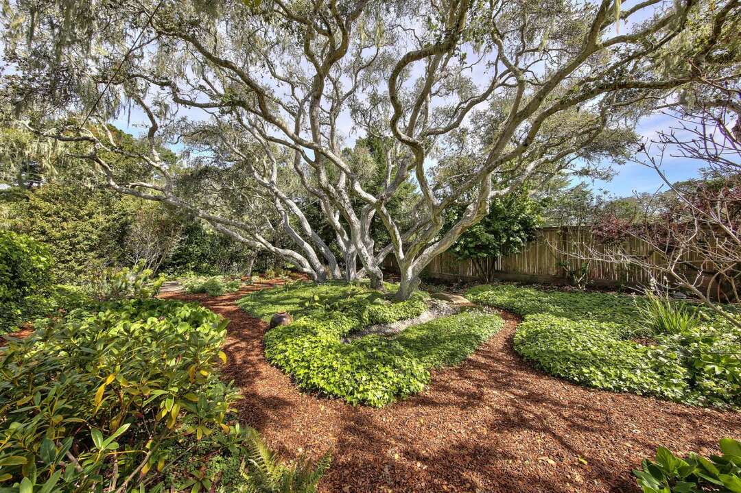 Steinbeck and Ricketts once enjoyed this historic Monterey home, on the ...