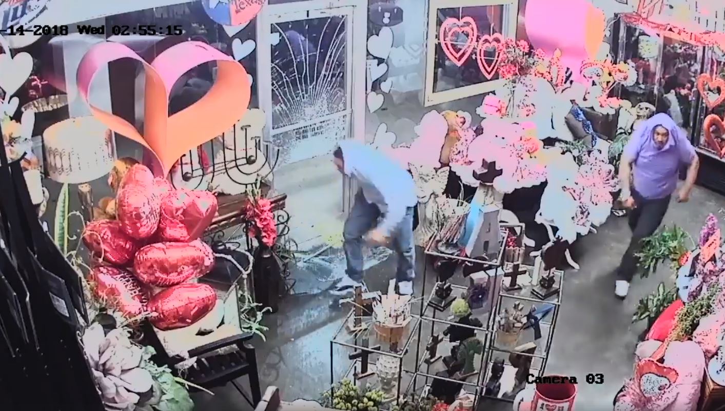 CRIME OF THE WEEK: Suspects break into store, steal teddy bears