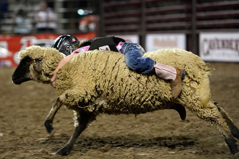 Photos: Young cowboys, cowgirls charge rodeo arena on backs of sheep ...