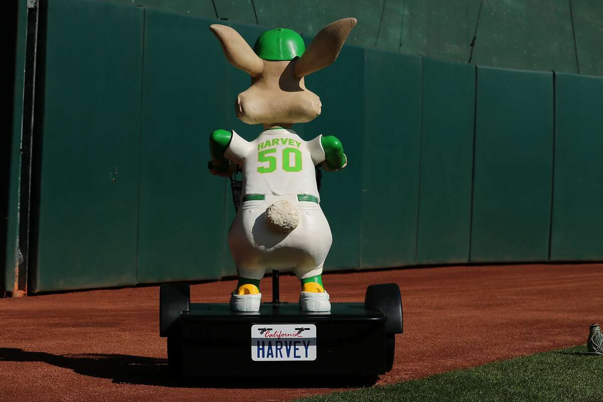 A’s pulling a rabbit out of their past for 50th anniversary
