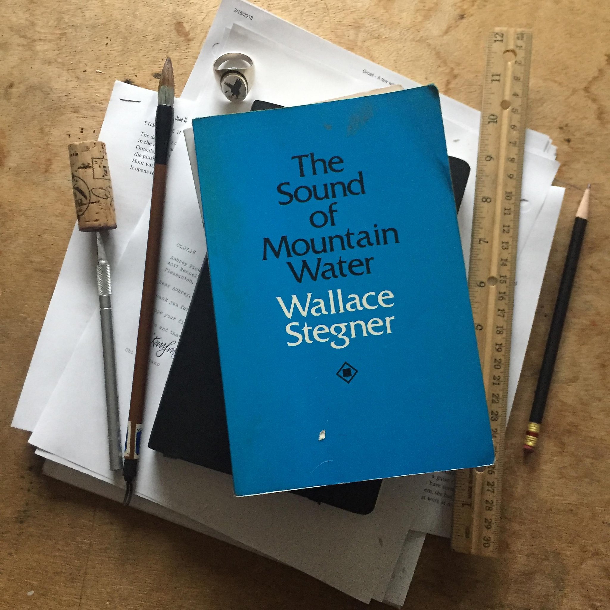 Special Edition: Obi Kaufmann on his most treasured book