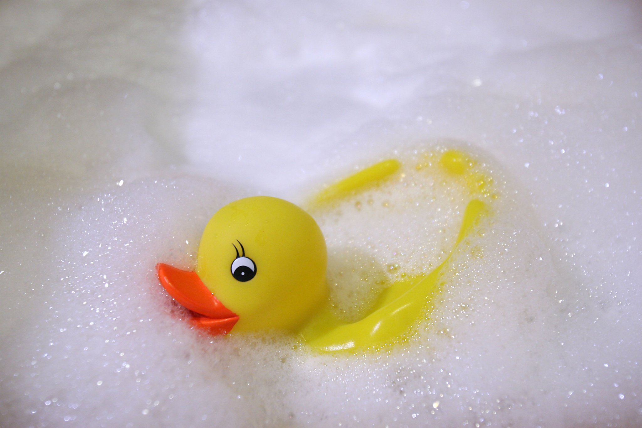 Yucky ducky? Study reveals bath-time toy's dirty secret