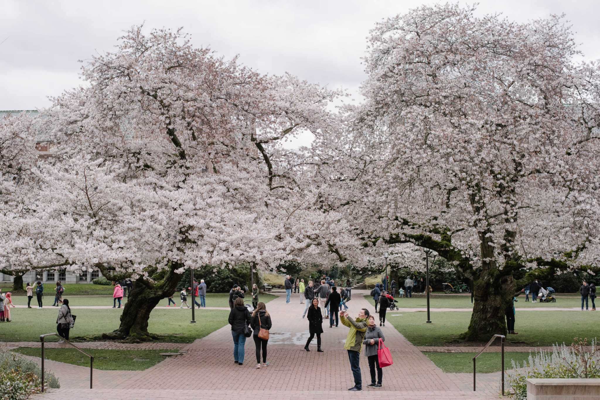 UW insider's guide for freshman