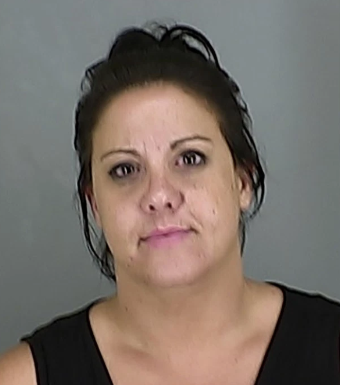 Ohio teacher pleads to felony charges after having baby with teen ...