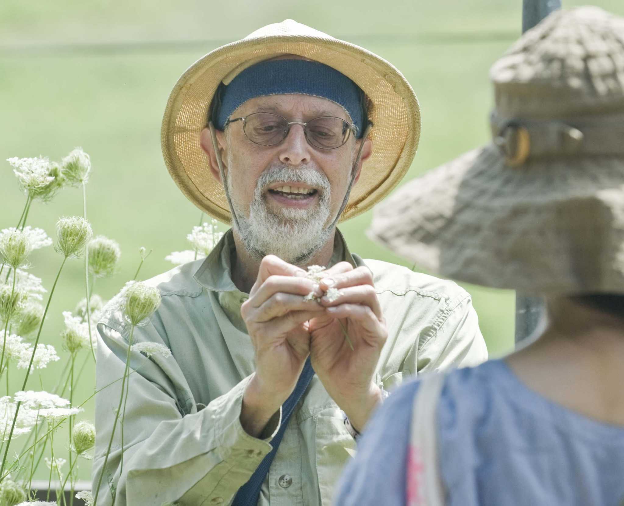 ‘Wildman’ to lead foraging tour at Danbury’s Tarrywile Park