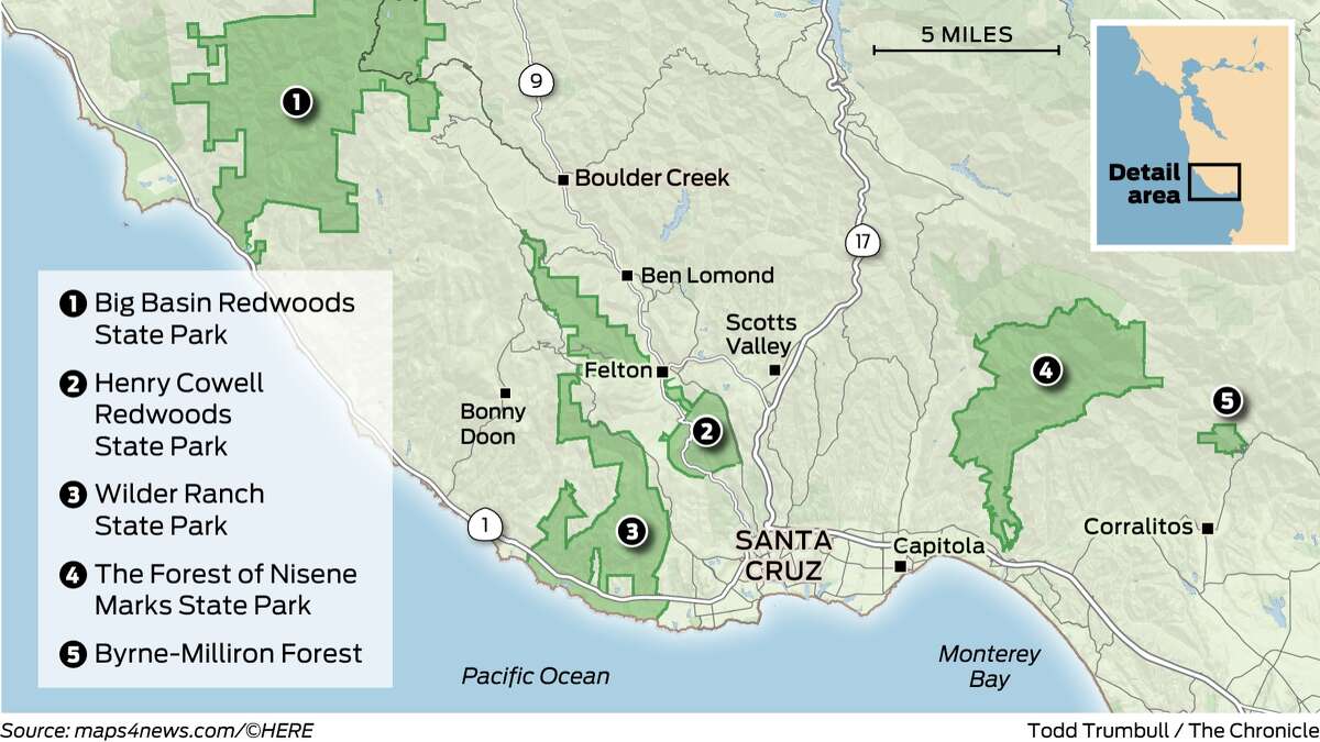 The 5 best spots around Santa Cruz to see redwoods