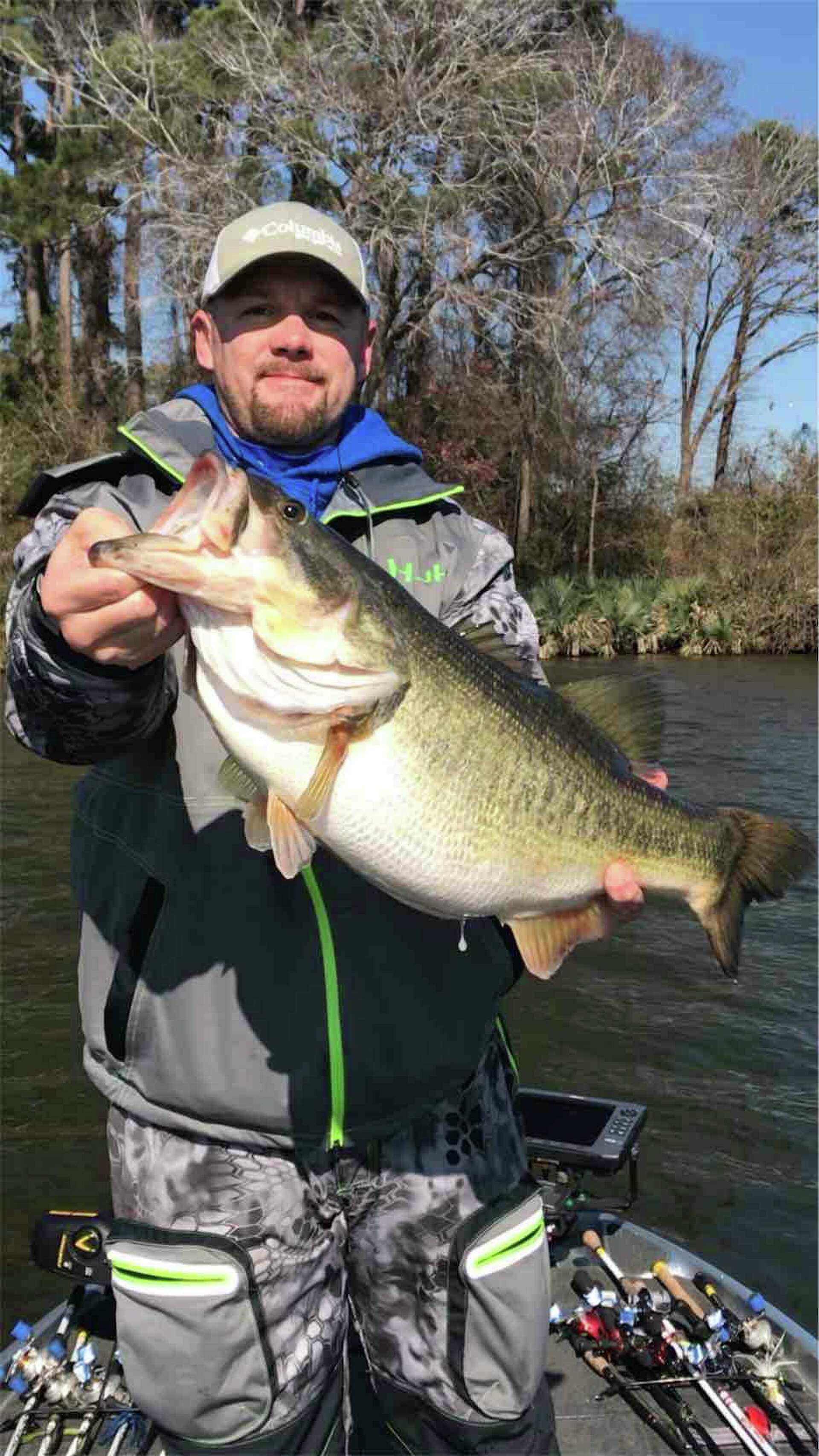 Lake Conroe to be stocked with 13,000 largemouth bass fingerlings